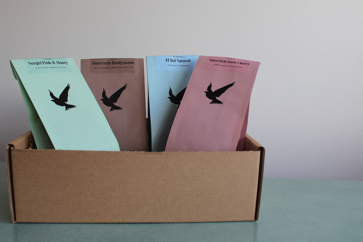 Four pack sampler – Skylark Coffee